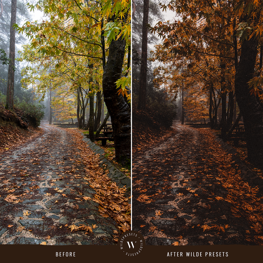 The Autumn Film Preset Collection