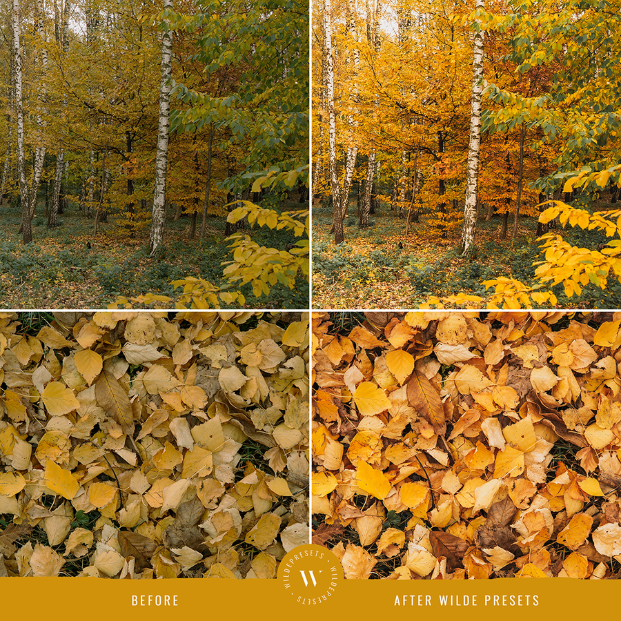 The Autumn Gold Preset Collection