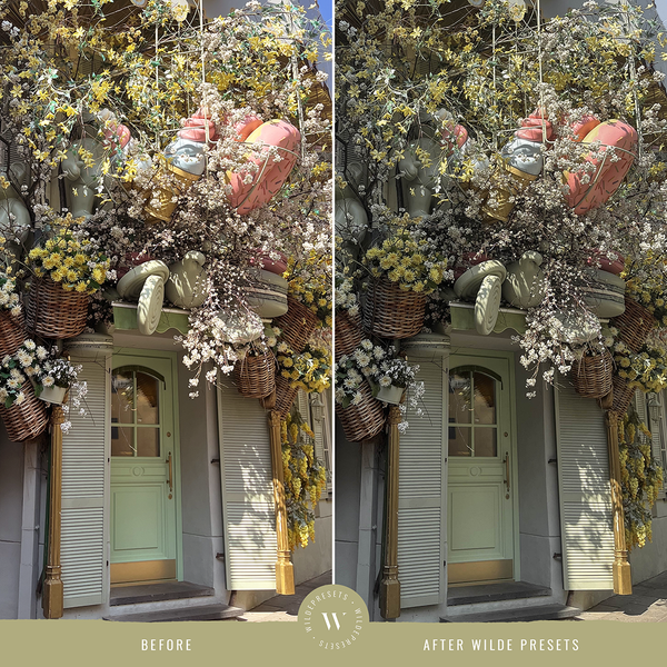 The Matcha Dream Preset Collection