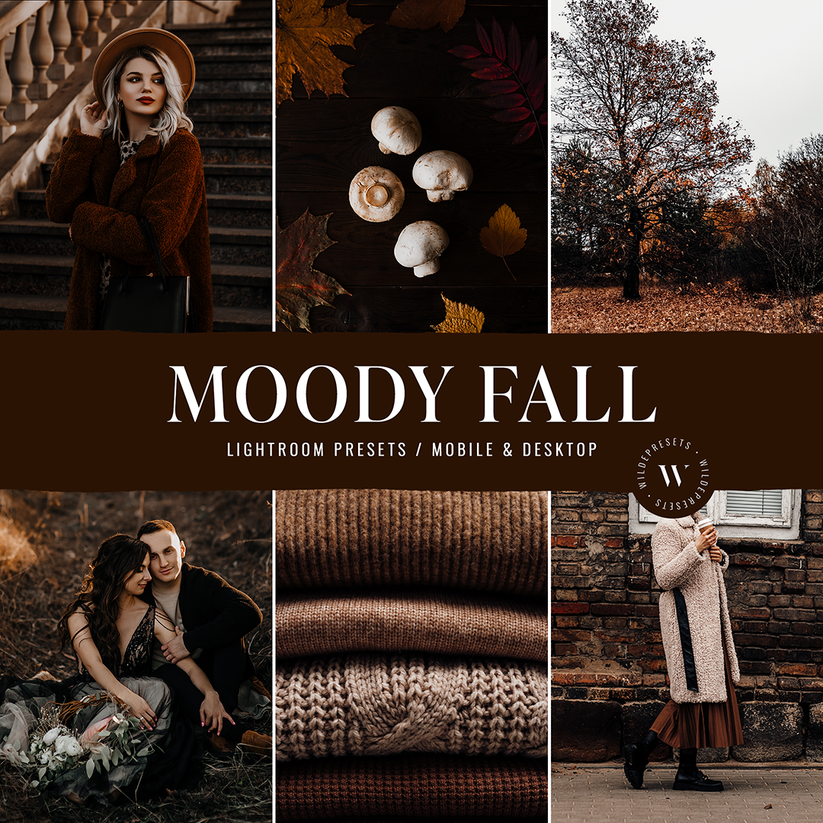 The Moody Fall Preset Collection – Wilde Presets