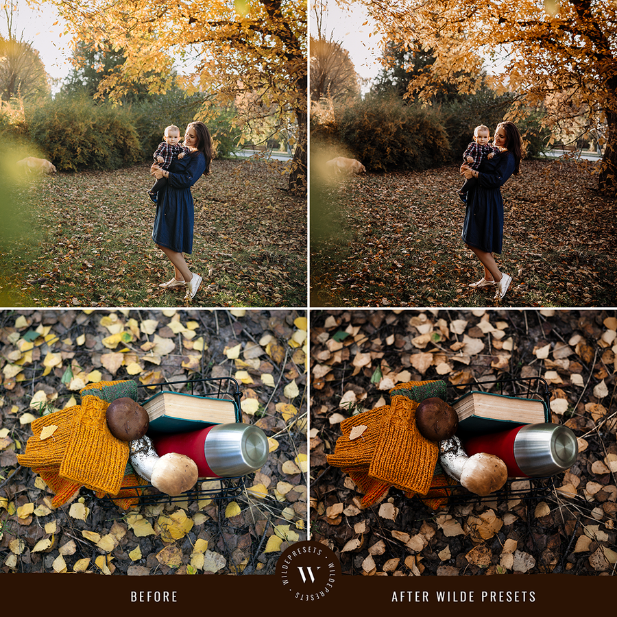 The Moody Fall Preset Collection