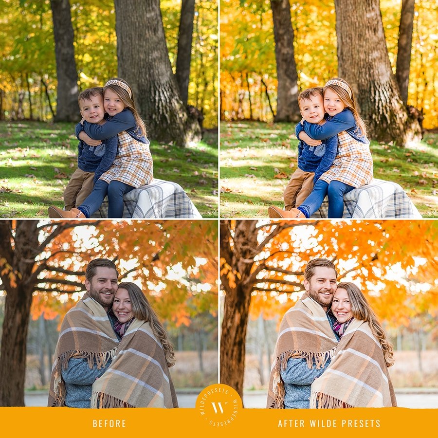The Vibrant Fall Preset Collection