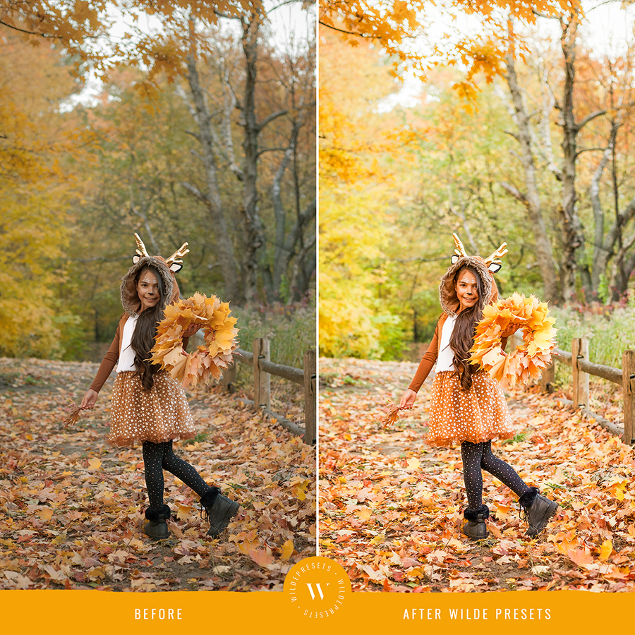 The Vibrant Fall Preset Collection
