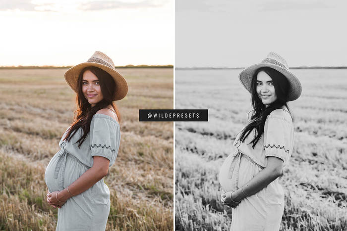 The Dreamy BW Preset Collection