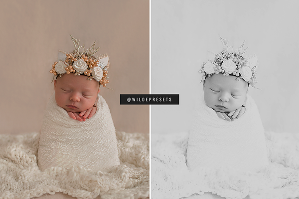 The Dreamy BW Preset Collection