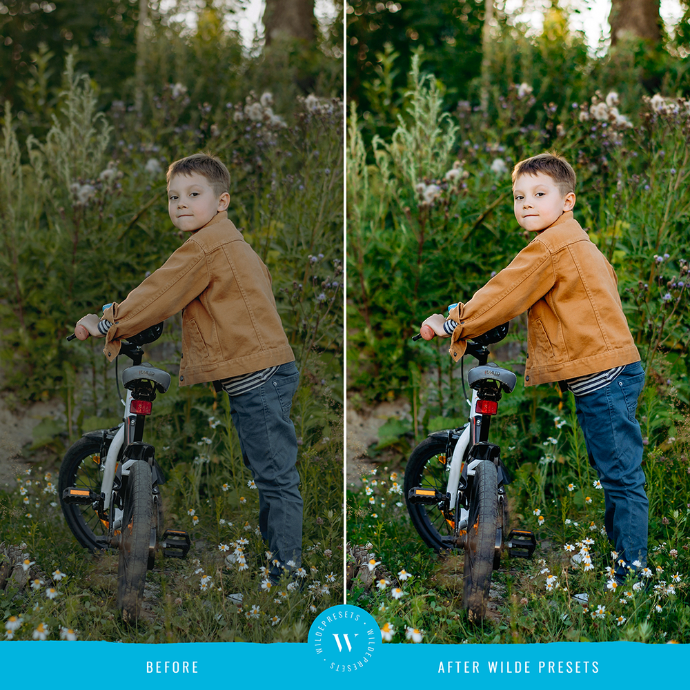 The Vibrant Color Preset Collection